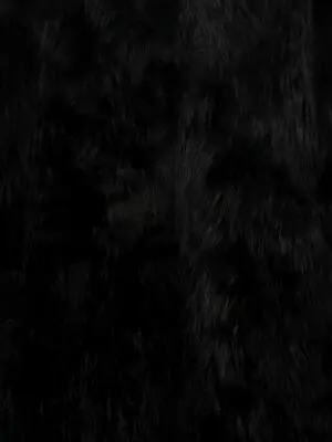 Blumarine Fur Coat - Black