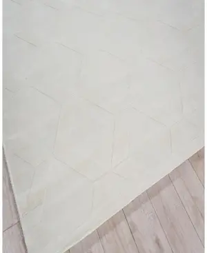 EXQUISITE RUGS Brunello Modern 6735 Area Rug 2'x3