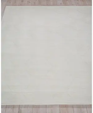 EXQUISITE RUGS Brunello Modern 6735 Area Rug 4'x5
