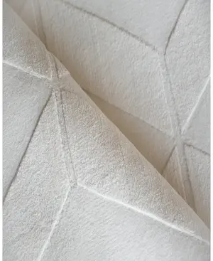 EXQUISITE RUGS Brunello Modern 6735 Area Rug 4'x5