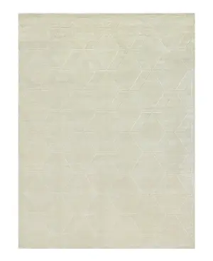 EXQUISITE RUGS Brunello Modern 6739 Area Rug 2'x3 - Beige