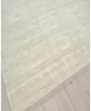 EXQUISITE RUGS Camora Modern 6755 Area Rug 2'x3