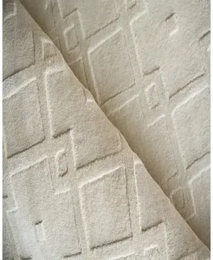 EXQUISITE RUGS Camora Modern 6755 Area Rug 2'x3