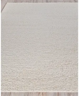 EXQUISITE RUGS Borelli 4750 Area Rug 2'x3