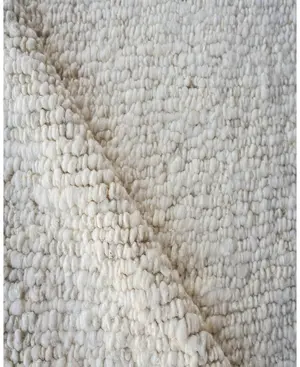 EXQUISITE RUGS Borelli 4750 Area Rug 2'x3