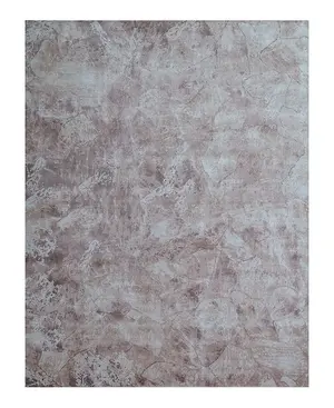 EXQUISITE RUGS Cassina 2509 Area Rug 8'x10 - Pink