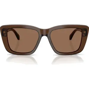 Emporio Armani 54mm Cat Eye Sunglasses - Shiny Brown/dark Brown