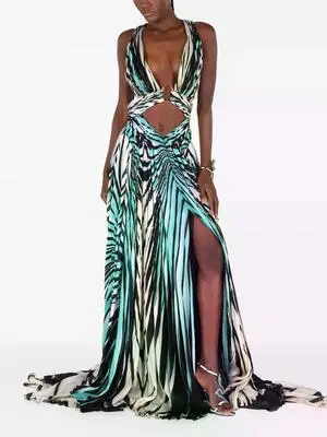 Roberto Cavalli Printed Maxi Dress