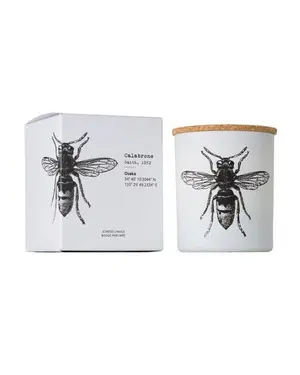 VILA HERMANOS Vila Insect Candle In Jar 6.7 Ounce Calabrone