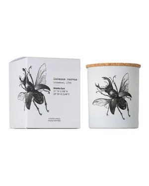VILA HERMANOS Vila Insect Candle In Jar 6.7 Ounce Lucanus Cervus