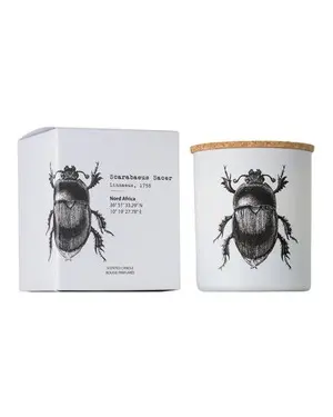 VILA HERMANOS Vila Insect Candle In Jar 6.7 Ounce - Scarabeus Sacer