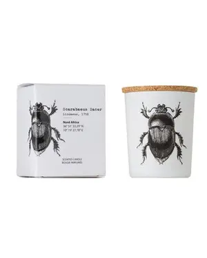 VILA HERMANOS Insect Candle In Jar 2.65 Ounce - Scarabeus Sacer