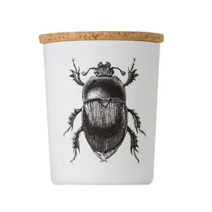VILA HERMANOS Insect Candle In Jar 2.65 Ounce - Scarabeus Sacer