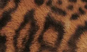 Apparis Misha Printed Faux Fur Slippers - Leopard