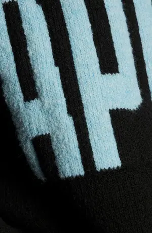 Sanctuary Aprés Sweater - Black/multi