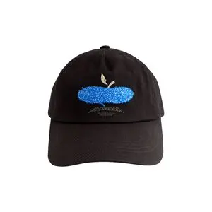 ADER ERROR Cap - Black