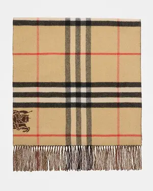 Burberry Fringe Scarves