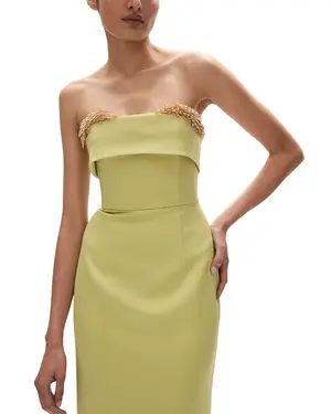 Rachel Gilbert Laira Strapless Dress