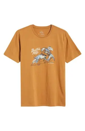Brixton Wellston Cotton Graphic T-shirt