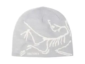 Arc'teryx Bird Head Toque - Solitude/arctic Silk