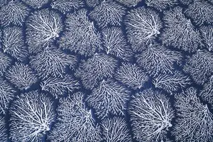 C&F HOME Coral Jaquard Coverlet