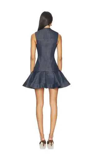 Alexis Taylin Dress
