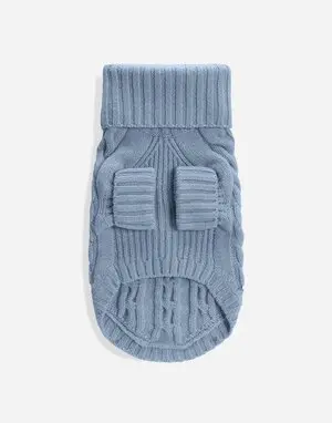 Dolce & Gabbana Wool Dog Sweater - Azure