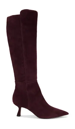 Sam Edelman Pointed Toe Boots For Women