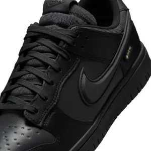 Nike Dunk Low Gore-tex Sneakers