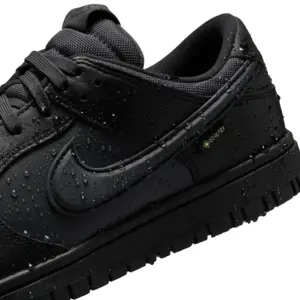 Nike Dunk Low Gore-tex Sneakers