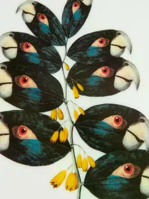 La DoubleJ Parrotstem-print Trinket Tray