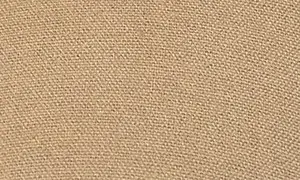 ALLSAINTS Orlando Baseball Cap