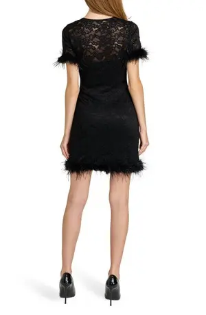 WAYF Alina Feather Lace Mini Dress