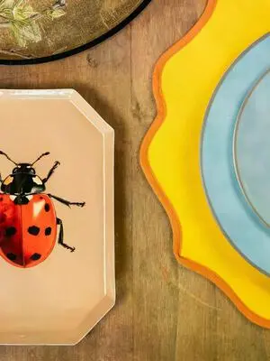 LES-OTTOMANS Ladybug-print Tray