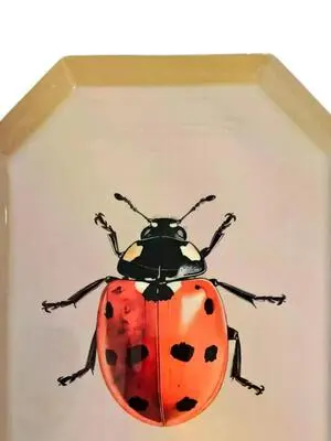LES-OTTOMANS Ladybug-print Tray