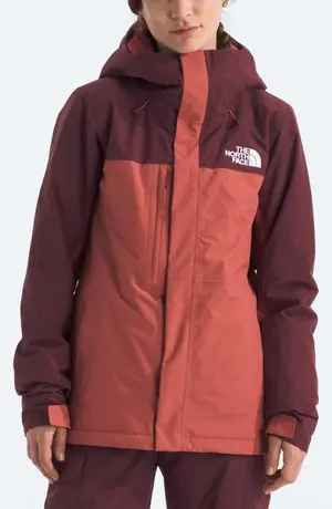 The North Face Brown Tech