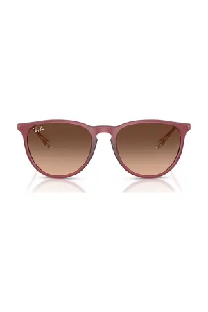 Ray-ban Erika Classic Sunglasses