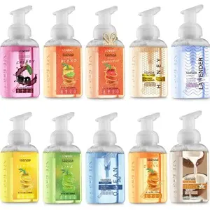LOVERY Foaming Hand Soap Pack Of 10moisturizing Hand Soap With Aloe Vera And Essential Oilsscented Hand Wash For Kitchen Or Bathroom - Multicolor