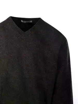 COOR Long-sleeve V-neck Sweater