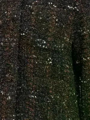 Fabiana Filippi Tweed Jacket
