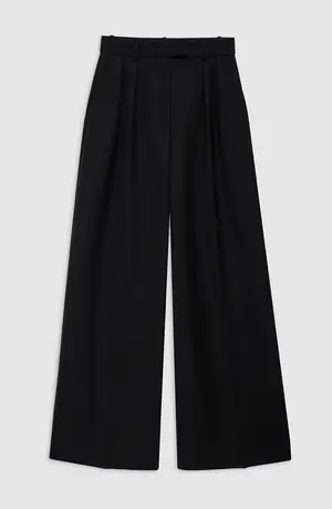ANINE BING Lou Wide Leg Trouser - Black