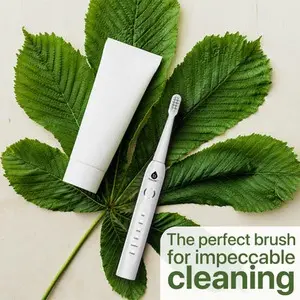 PURSONIC Usb Rechargeable Sonic Toothbrush With 12 Brush Heads