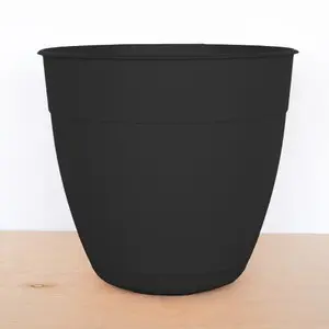 BLOEM Dayton Gardening Planter With Saucer Tray