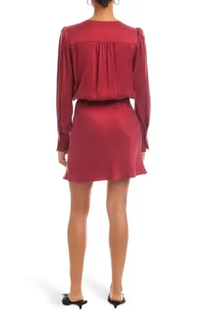 Fifteen Twenty Denise Long Sleeve Mini Dress
