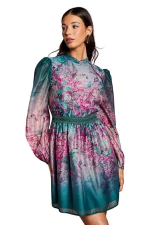 Coast Floral Print Organza Mini Dress