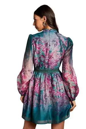 Coast Floral Print Organza Mini Dress