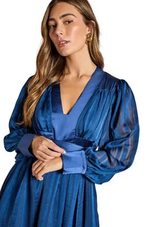 Coast V-neck Long Sleeve Maxi Dress