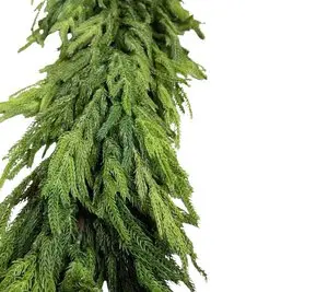 RC HOME DECOR 96' Norfolk Pine Garland