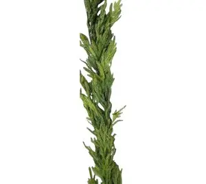 RC HOME DECOR 96' Slim Real Touch Norfolk Pine Garland - One-color
