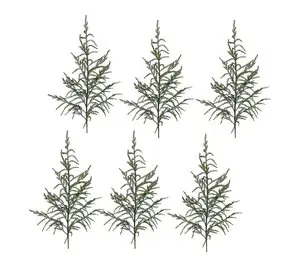 RC HOME DECOR Natural Touch Norfolk Pine Sprays 6pc - One-color